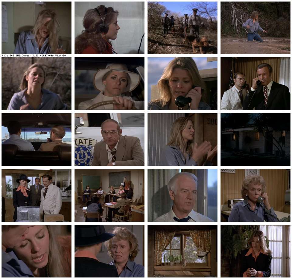 Image Th Thebionicwomans02e16deadlyringerpart2dvdripxvid