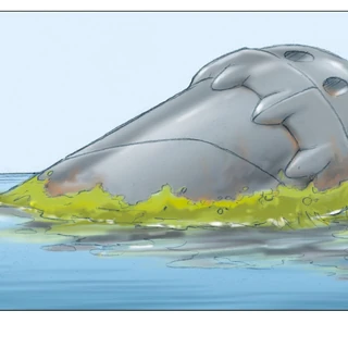 Toa Canister | The BIONICLE Wiki | Fandom