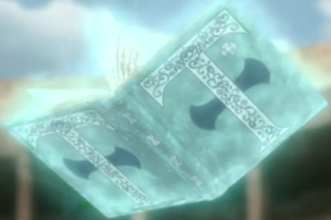 Grimoire | Black Clover Fanon Wiki | Fandom