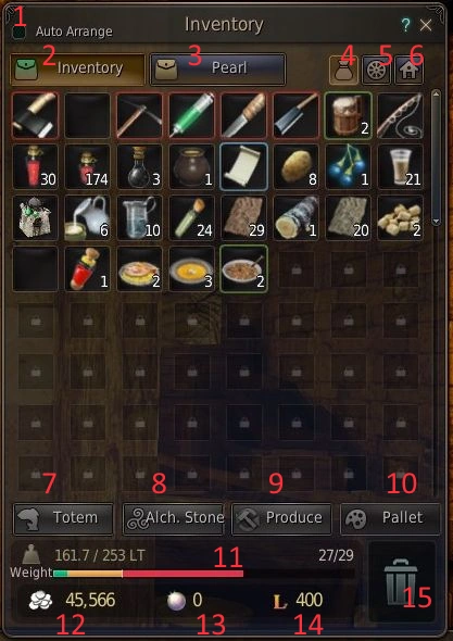Inventory | Black Desert Wiki | Fandom