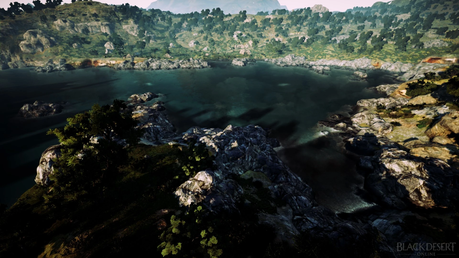 Mediah Shore | Black Desert Wiki | Fandom