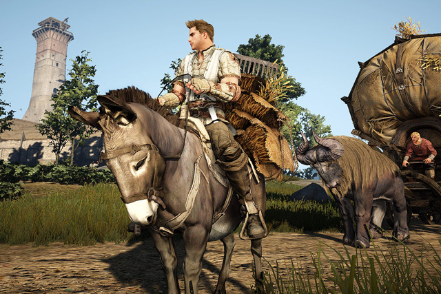 Donkey | Black Desert Wiki | Fandom