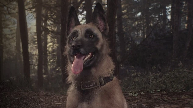 Bullet | Blair Witch | Fandom