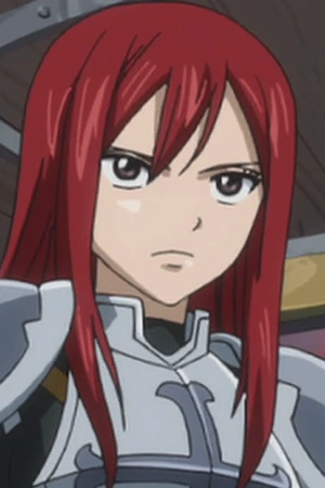 Erza Scarlet | Bleach and Fairy Tail Wikia | Fandom