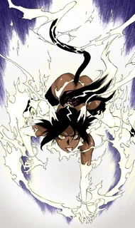 Shunkō | Bleach Wiki | FANDOM powered by Wikia