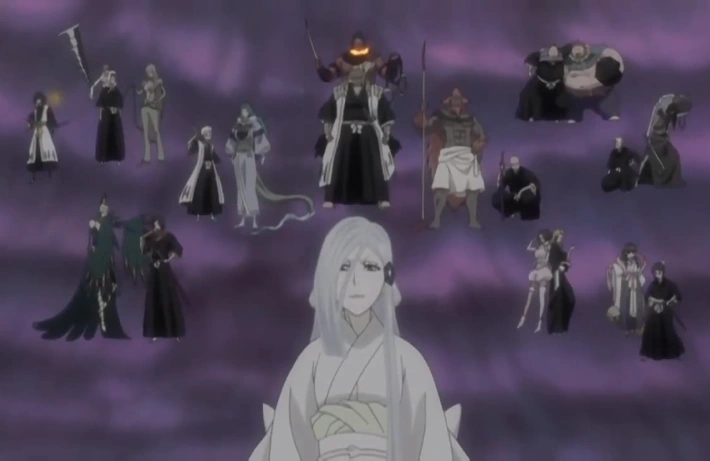 Return of the Zanpakutō Spirits | Bleach Wiki | FANDOM powered by Wikia