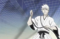 Zanjutsu | Bleach Wiki | Fandom