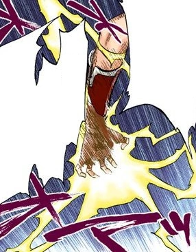 Raikōhō | Bleach Wiki | Fandom