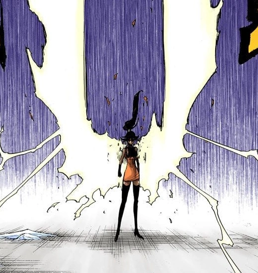 Image - 656Yoruichi's Shunko.png | Bleach Wiki | FANDOM powered by Wikia