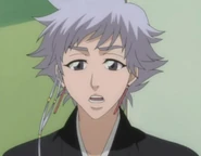 Isane Kotetsu/Image Gallery | Bleach Wiki | FANDOM powered by Wikia