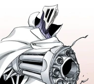 BG9 | Bleach Wiki | Fandom