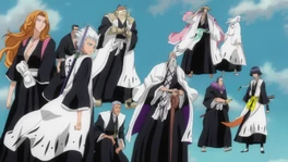 The Armies Assemble: Battle at Fake Karakura Town | Bleach Wiki | Fandom