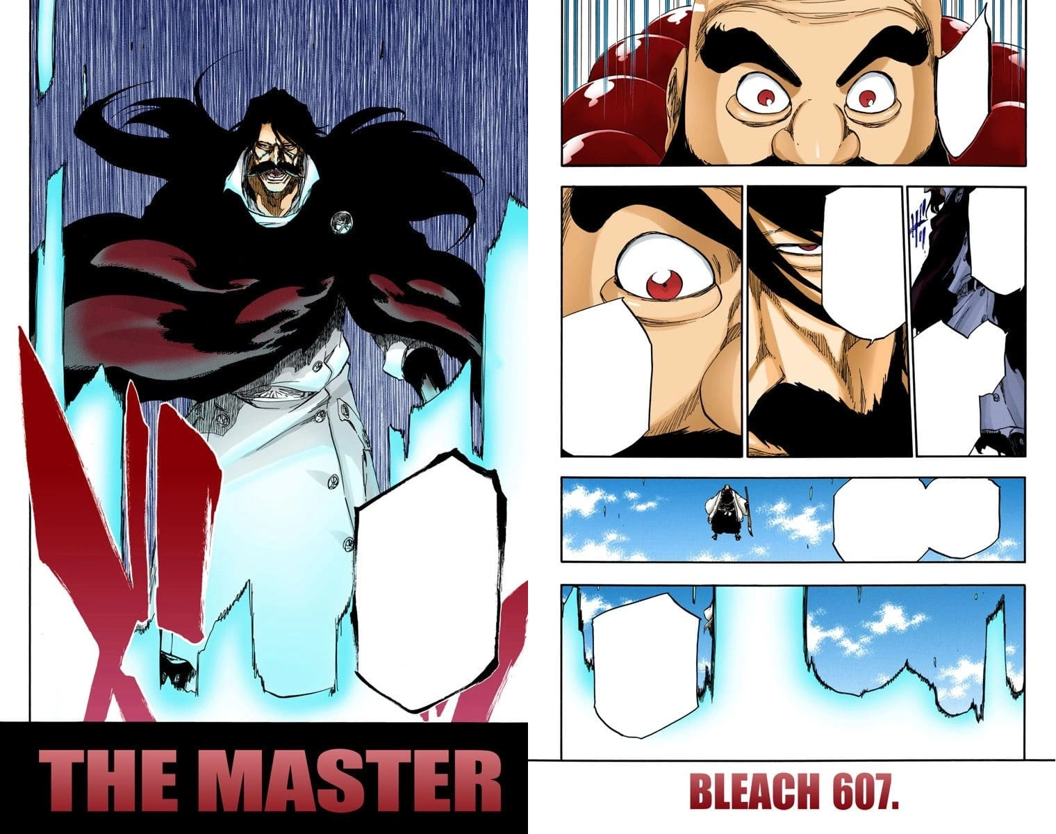 607. THE MASTER | Bleach Wiki | Fandom