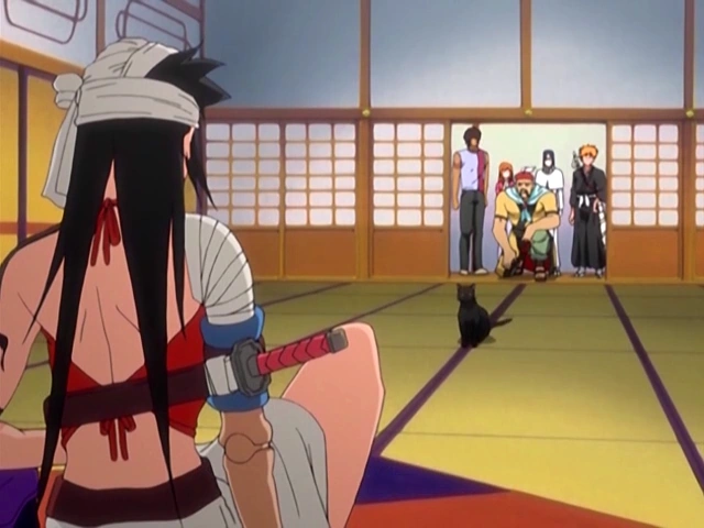 Kūkaku Shiba | Bleach Wiki | FANDOM powered by Wikia