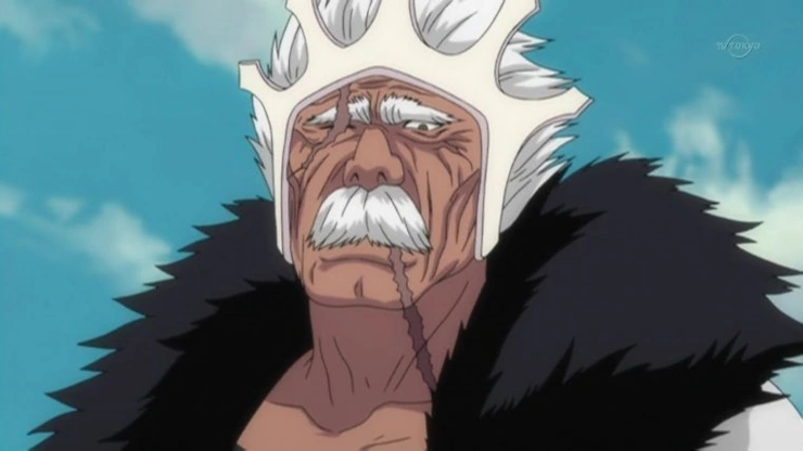 Baraggan Louisenbairn | Bleach Wiki | Fandom