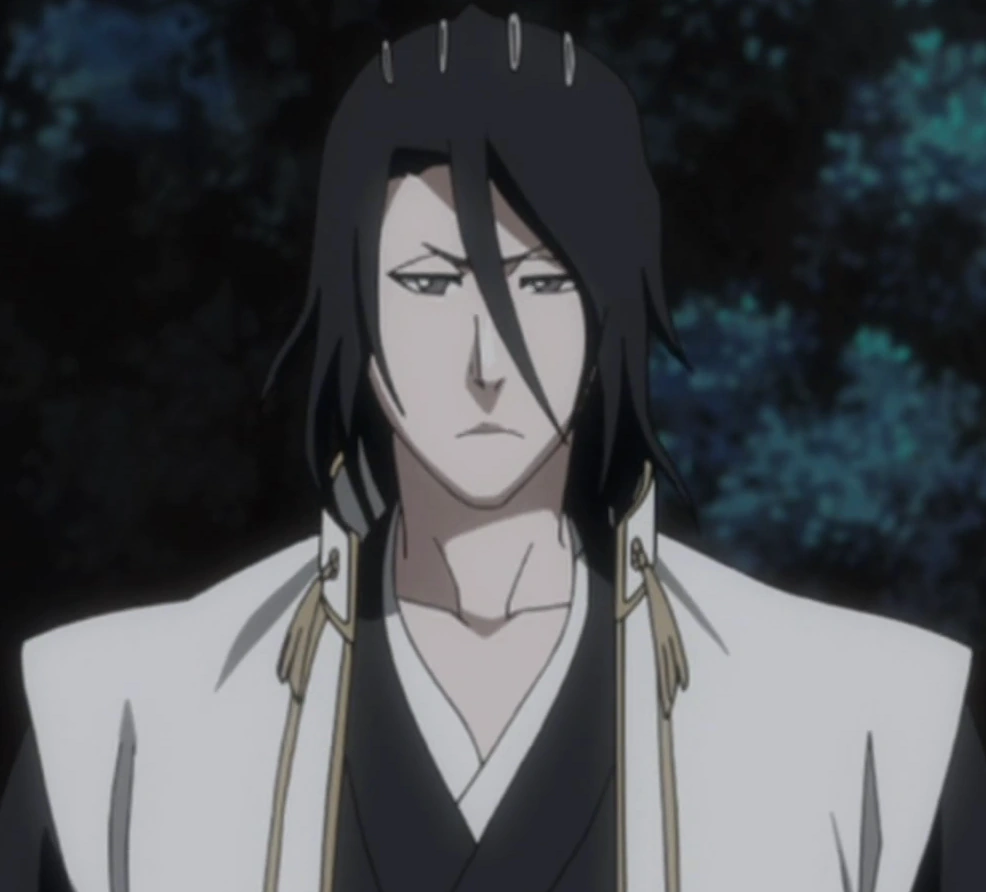 Byakuya Kuchiki | Bleach Wiki | FANDOM powered by Wikia