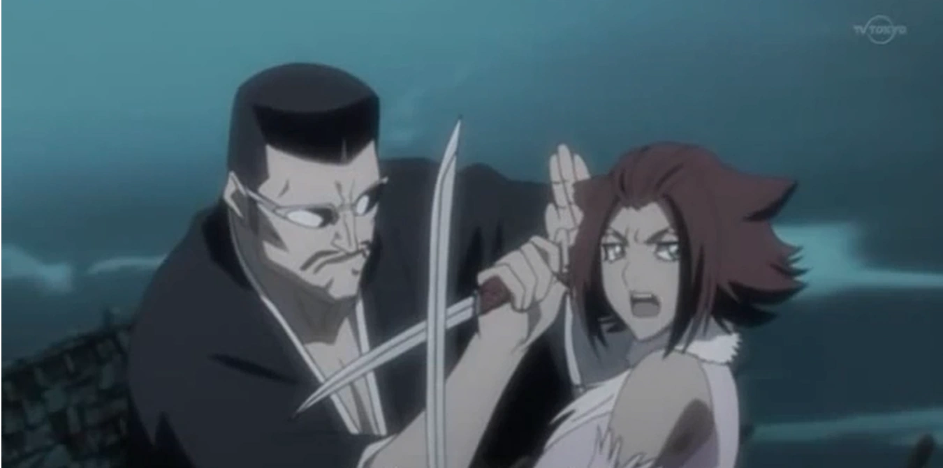 Bleach Haineko Ichigo _ Bleach Ichigo Age – KXVG