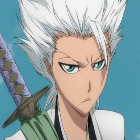 10th Division | Bleach3Phantom Wiki | Fandom