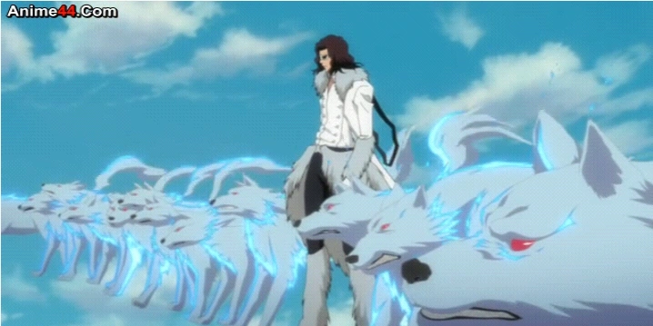 Image - Starrk's wolves.png | Bleach Fan Fiction Wiki | FANDOM powered ...