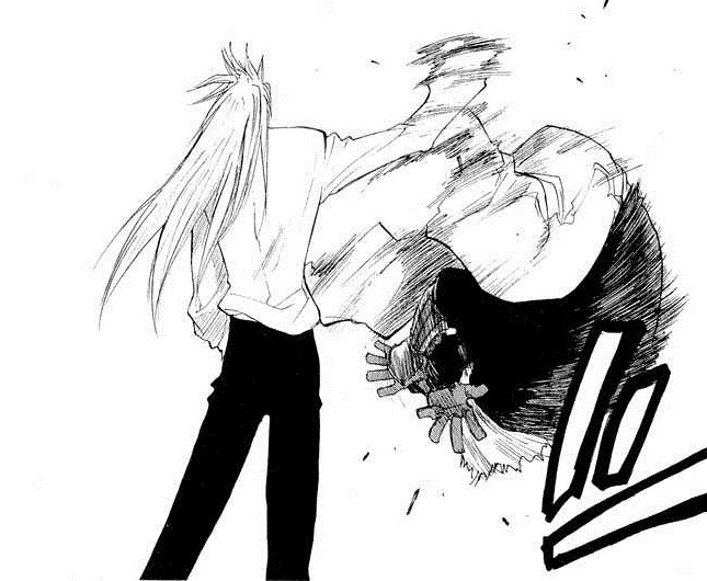 Senkai | Bleach Fan Fiction Wiki | Fandom