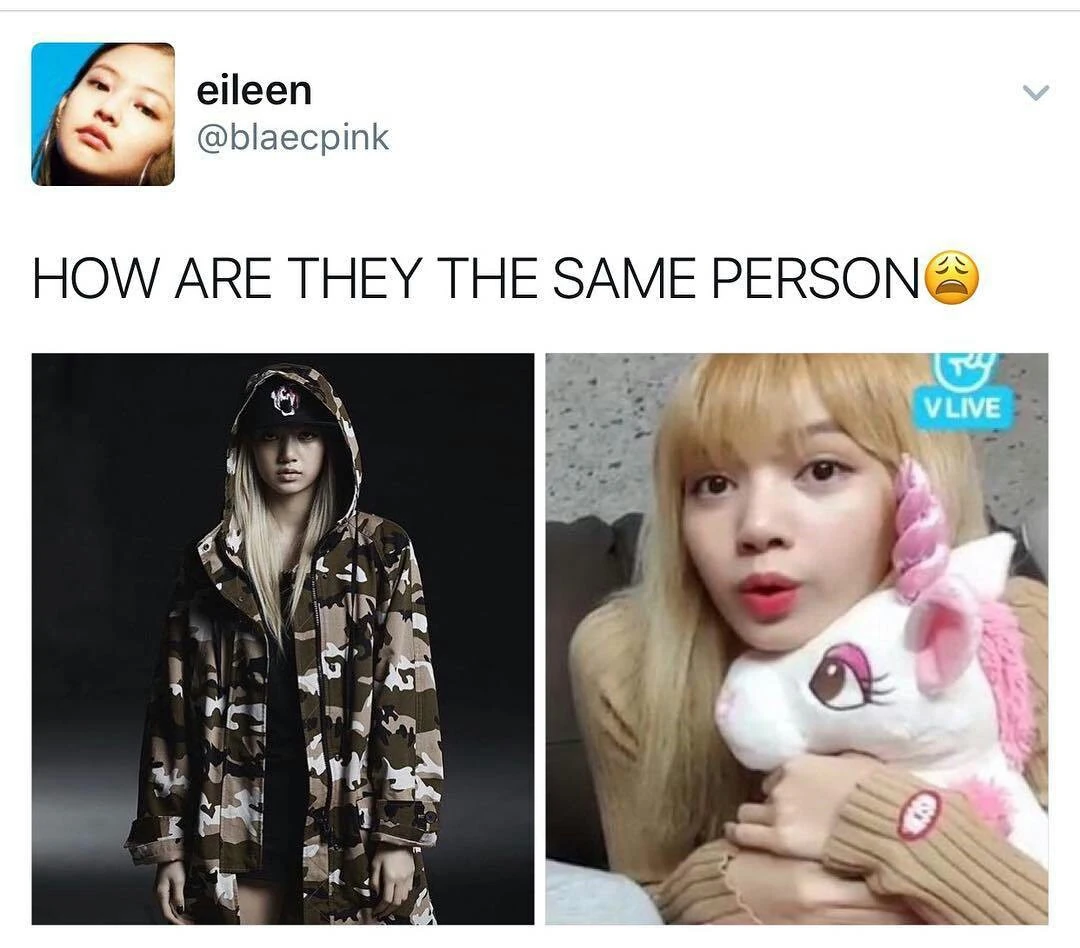 Image - Lisa Memes.jpg | BLACK PINK Wiki | FANDOM powered by Wikia