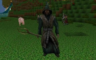 Wizard | Block Story Wiki | Fandom