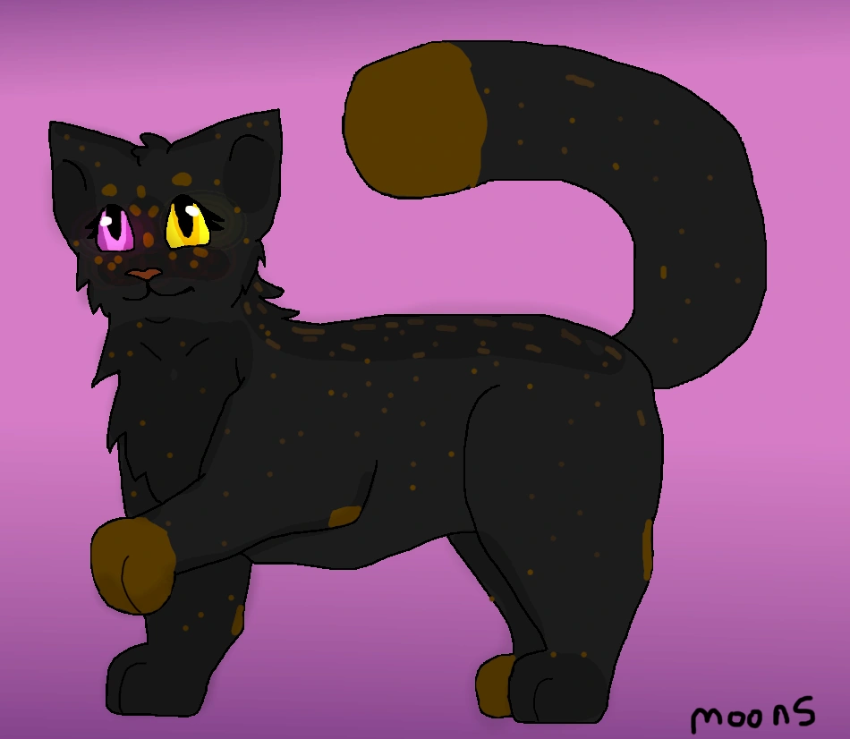 Shadowpaw/cloud (new edition) | BlogClan 2 Wikia | Fandom