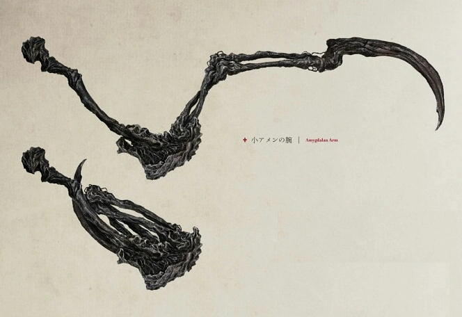Image - Amygdala Arm Concept Art.png | Bloodborne Wiki | FANDOM powered ...