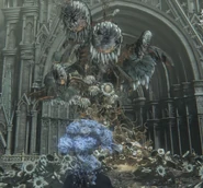 Lumenflowers | Bloodborne Wiki | Fandom