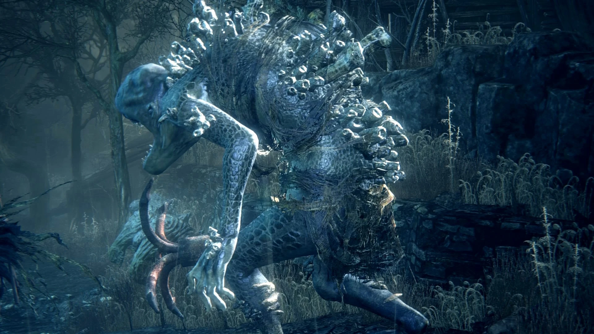 Image - Bloodborne™ 20151127094359.jpg | Bloodborne Wiki | FANDOM ...