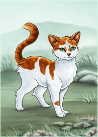 Billystorm | BloodClan Wiki | Fandom