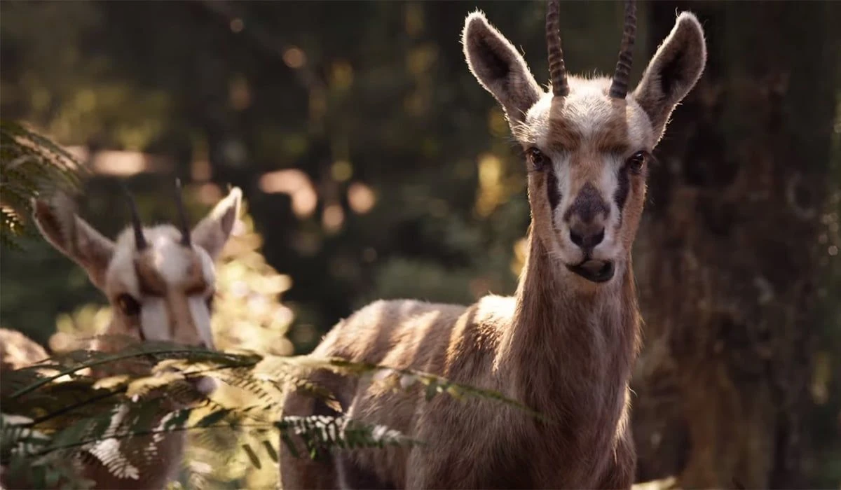 Thomson's Gazelle | BloodRayne & Mia, the Vampire Slayer Wiki | Fandom