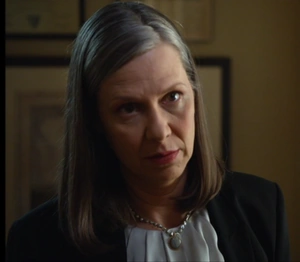 Amanda Harris | Blue Bloods Wiki | Fandom