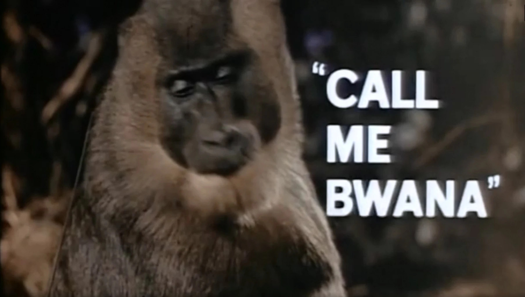 Call Me Bwana | Bob Hope Wiki | Fandom
