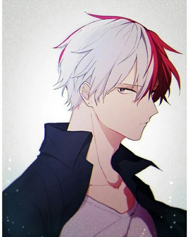 Shouto "Shouto" Todoroki | Boku no Hero Academia: New Generations Wiki ...