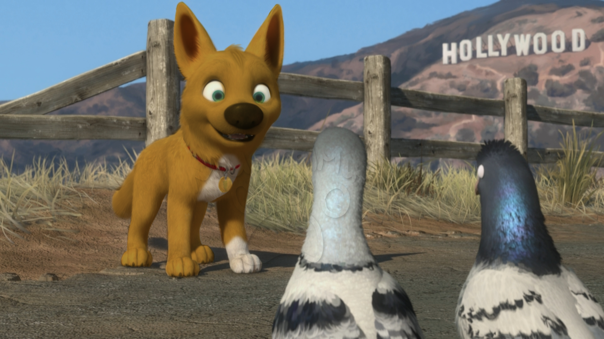 Bolt The Superdog As A Puppy