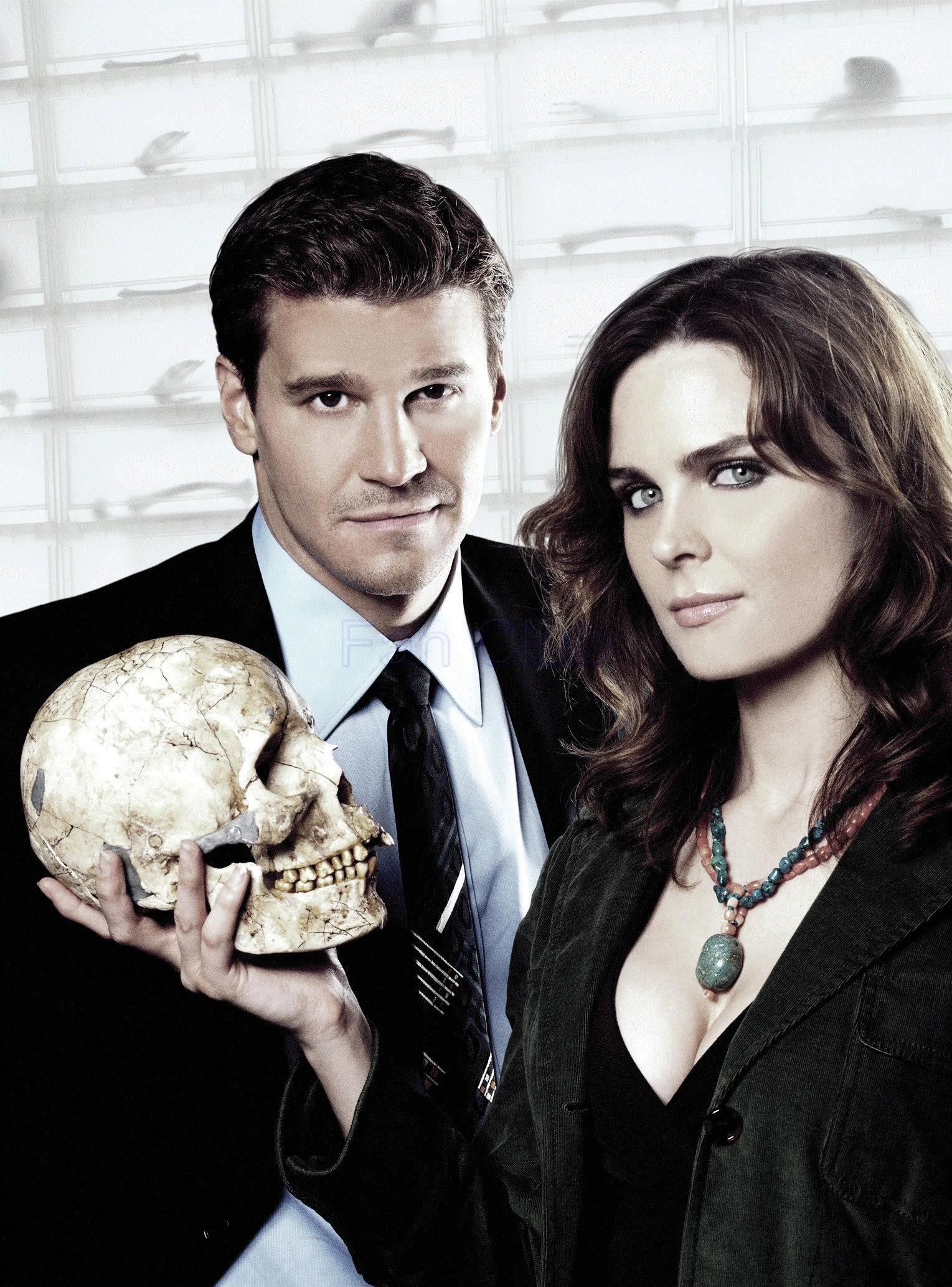 Image - Booth-and-Bones-temperance-brennan-29145916-1529-2067-1.jpg ...
