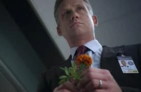 Hayes Flynn | Wiki Bones | FANDOM powered by Wikia