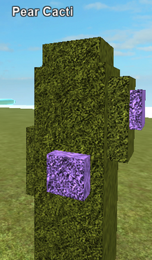 Cactus | Booga Booga : Roblox Wiki | Fandom