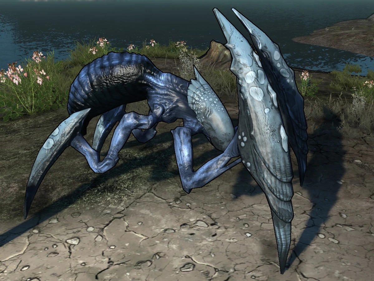 Spiderant Queen | Borderlands Wiki | Fandom