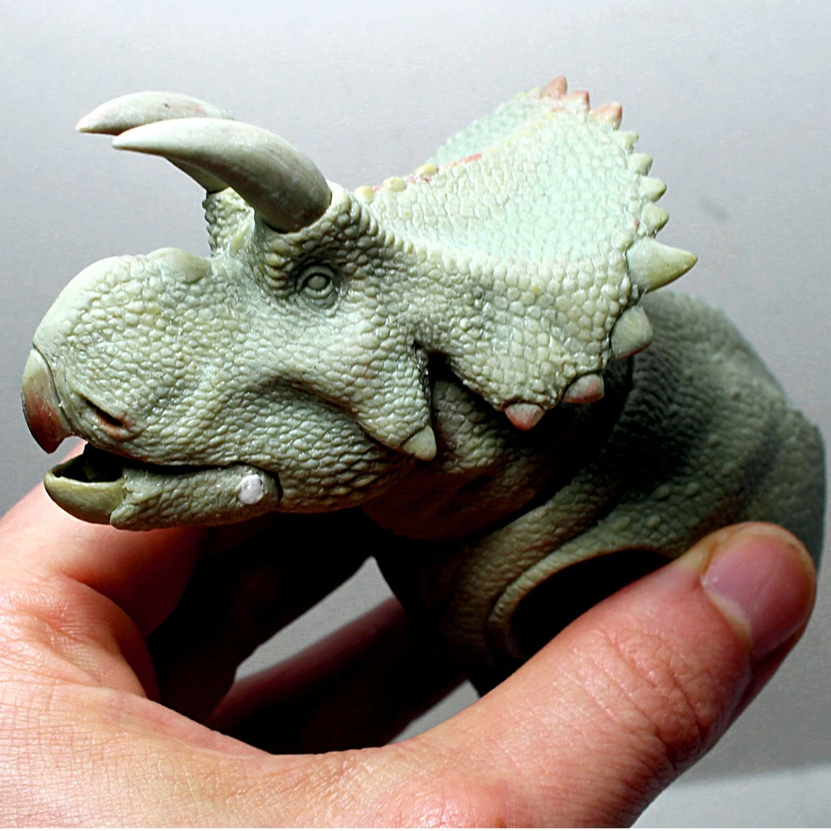 Avaceratops lammersi/Gallery | Beasts of the Mesozoic Wiki | Fandom