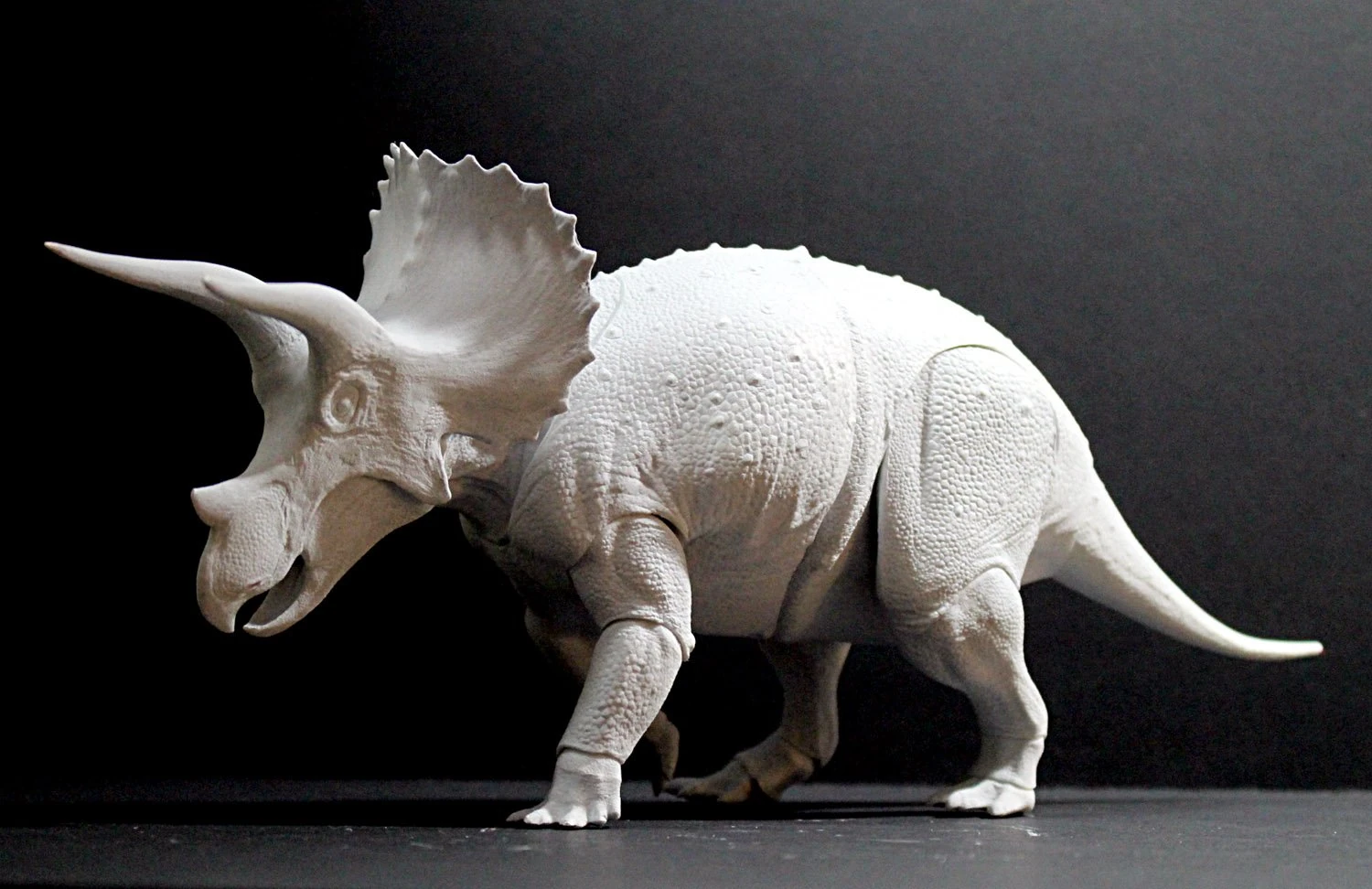 Triceratops horridus (sub-adult)/Gallery | Beasts of the Mesozoic Wiki ...