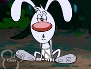 Mr. Whiskers | Brandy and Mr. Whiskers Wiki | FANDOM powered by Wikia