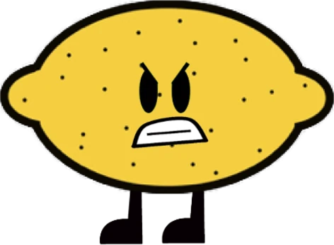 Battle of the Objects | Brawl Of The Objects Wiki | Fandom