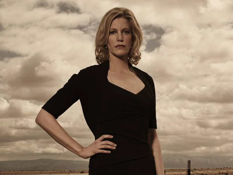 Skyler White | Breaking Bad Wiki | FANDOM powered by Wikia