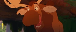 Rutt | Brother Bear Wiki | Fandom