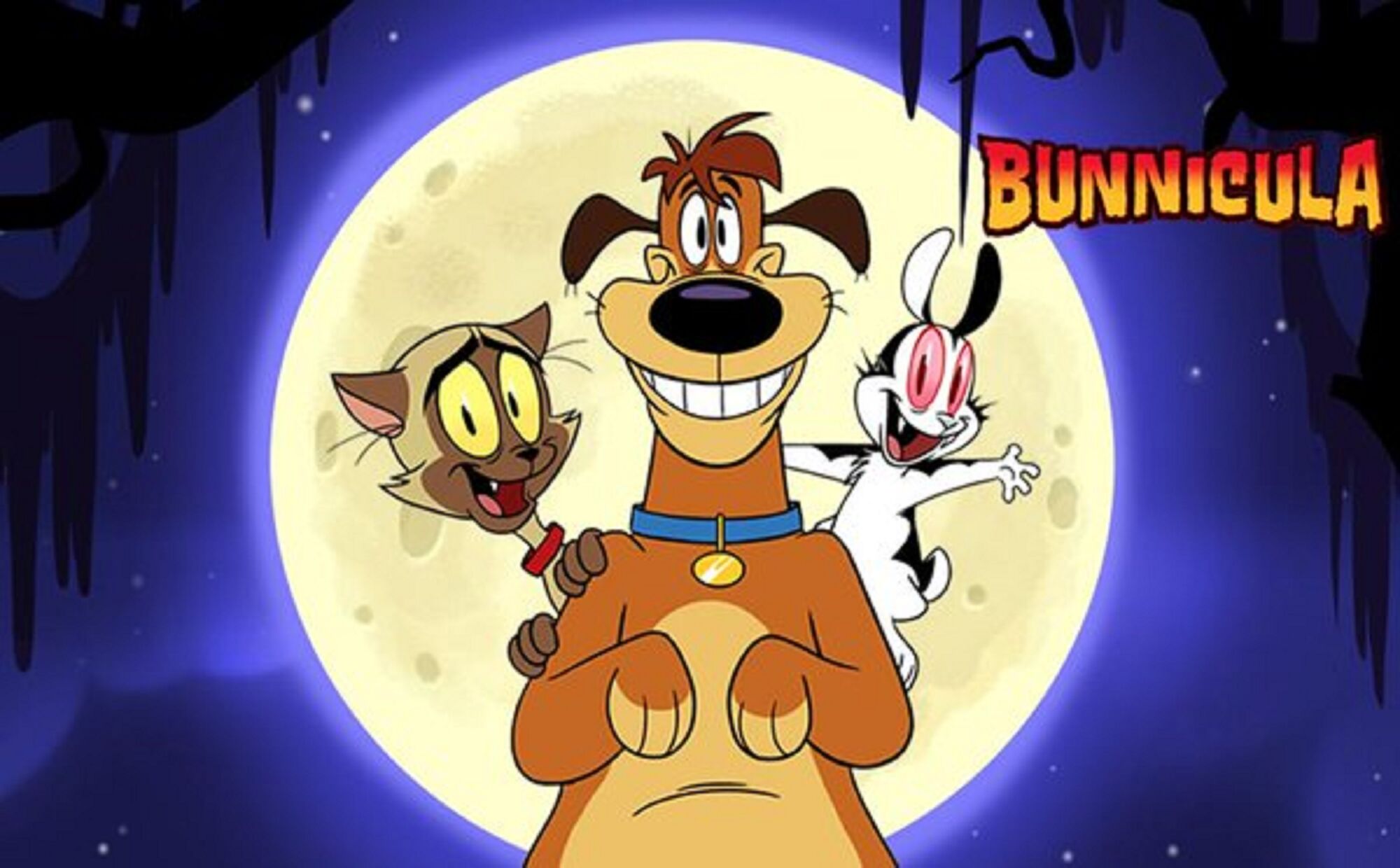Image - .028 Bunnicula Chester Harold & Zachary 28.jpg | Bunnicula ... Image - .028 Bunnicula Chester Harold & Zachary 28.jpg | Bunnicula ...