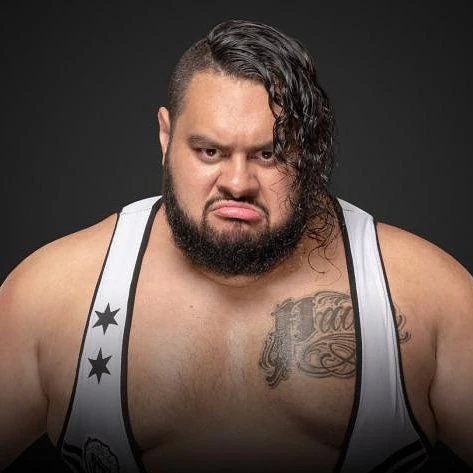 Bronson Reed | BWWE Wiki | Fandom