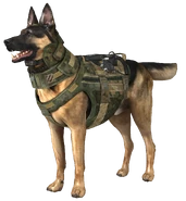 Riley (Ghosts) | Call of Duty Wiki | Fandom