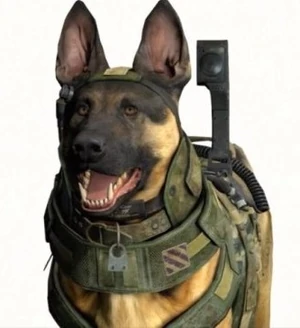Riley (Ghosts) | Call of Duty Wiki | FANDOM powered by Wikia